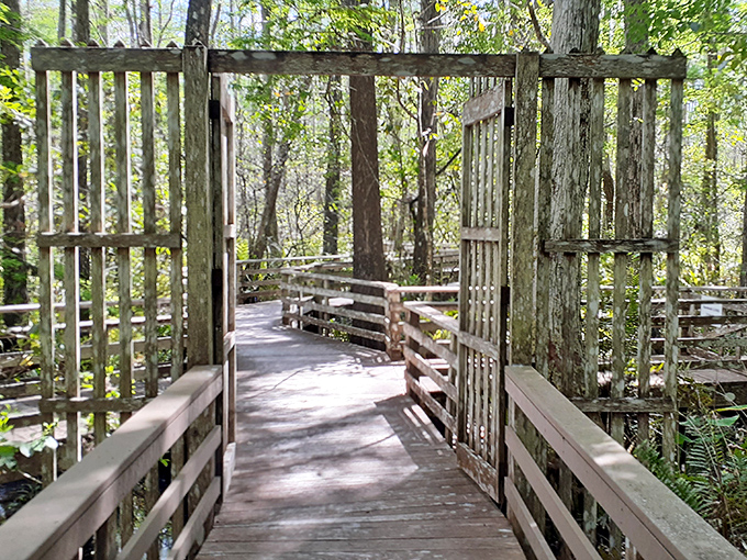 This wooden gateway feels like stepping through a portal to prehistoric Florida, where ancient cypress trees await your discovery.