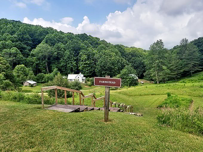The Farmstead sign points to more than a historic site—it's a doorway to understanding how mountain families carved lives from this rugged beauty.
