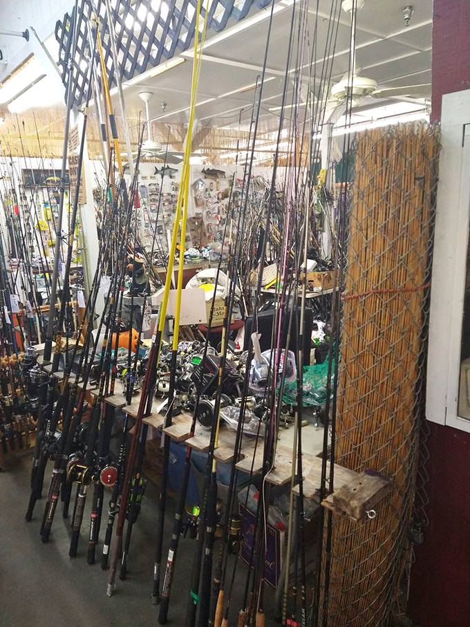 Fishing enthusiasts, rejoice! This rod forest has everything from beginner gear to the equipment that'll help you tell legitimate "big one" stories.