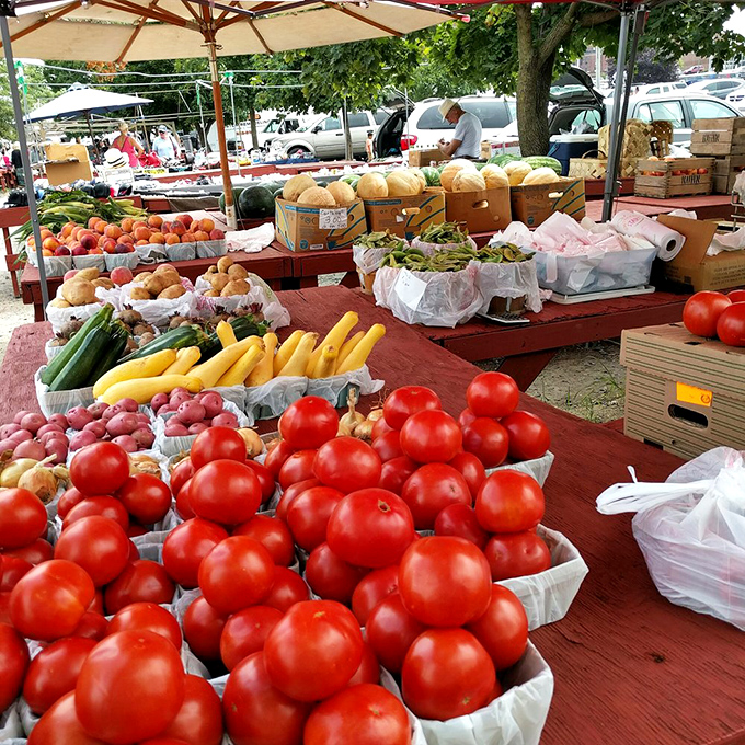 Farm-fresh tomatoes glisten like rubies among a rainbow of produce, bringing Delaware's agricultural bounty directly to market-goers' tables.