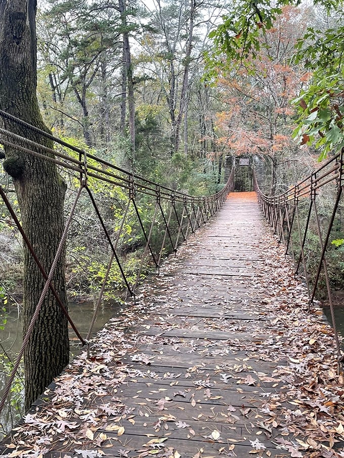 Indiana Jones would approve of this hanging bridge. Cross it and feel like the star of your own adventure movie.