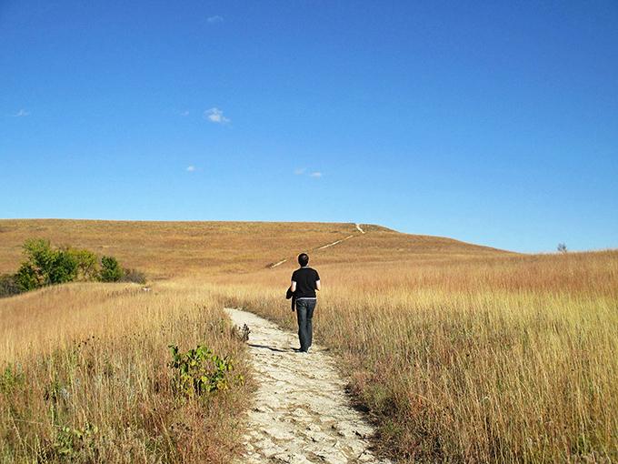 Solo hiking: when you need social distancing from everything except your thoughts. The tallgrass stands at attention as you pass.