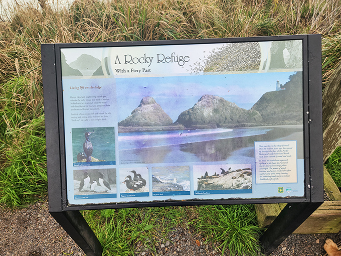 "A Rocky Refuge" indeed&mdash;this informational sign barely does justice to the wildlife spectacle waiting just offshore. Binoculars recommended!
