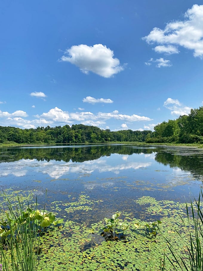 Steps to serenity: where generations of Ohioans have learned that sometimes the best family bonding happens on the way to a beach. 
