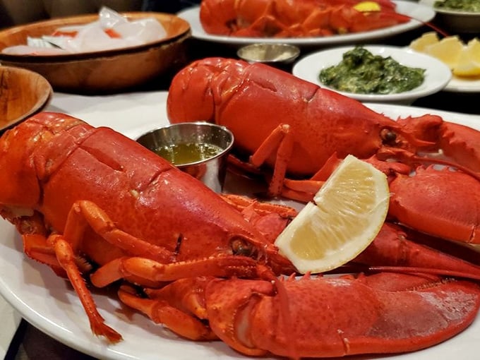 These lobsters aren't just seafood; they're crimson-clad celebrities making their grand entrance with lemon wedges as their paparazzi.