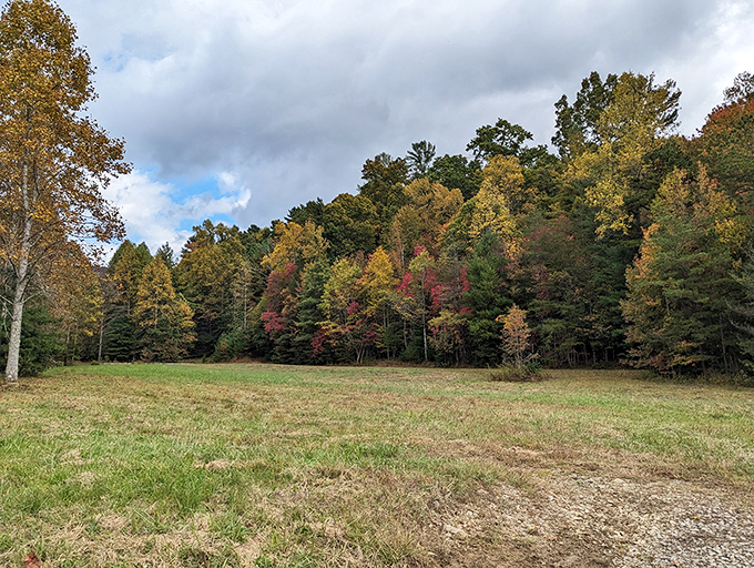 Fall's colorful fanfare puts on a show at the forest's edge. This meadow view is like nature's version of a Broadway curtain call.