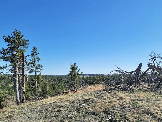 The reward for your climbing efforts: a panorama that stretches to tomorrow. Worth every bead of sweat and questionable life choice.