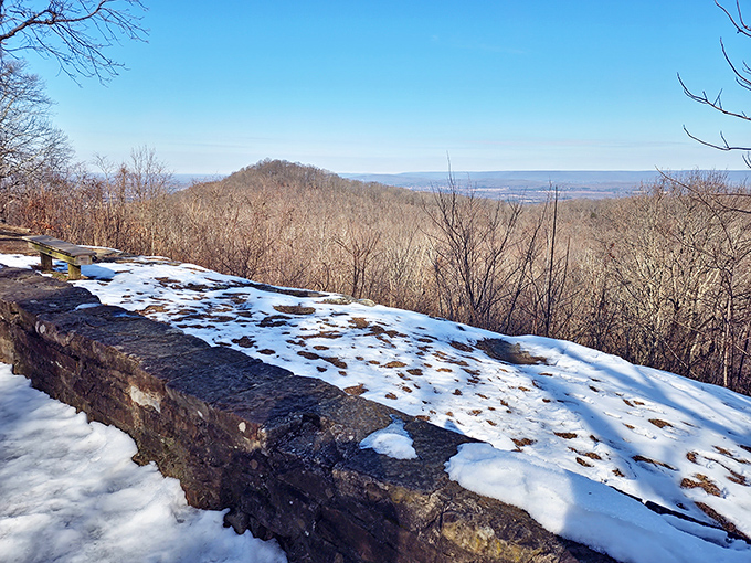 Winter reveals what summer conceals: panoramic views stretching to the horizon. Nature's IMAX, with better seating and zero previews.