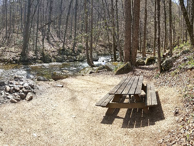 The perfect picnic spot awaits just steps from the rushing water, offering nature's soundtrack that no Spotify playlist could ever compete with.