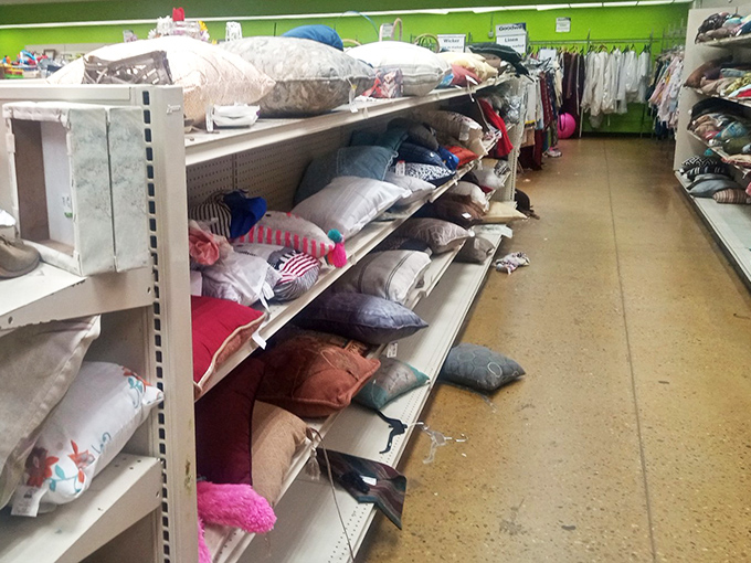 Pillow paradise! From decorative to practical, this textile treasure trove offers cushioned comfort for every taste—and at prices that won't keep you up at night.