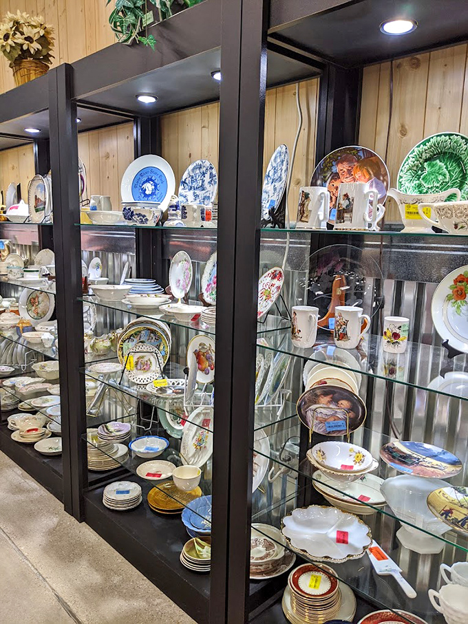 Collector's corner showcases delicate china and decorative plates behind glass, where yesterday's dinner services await tomorrow's special occasions.