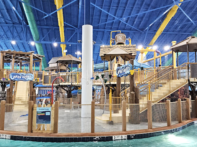 Lily pad crossing challenge&mdash;where core strength meets public humiliation. Parents beware: children mysteriously develop nimble skills while adults inevitably take the plunge. 