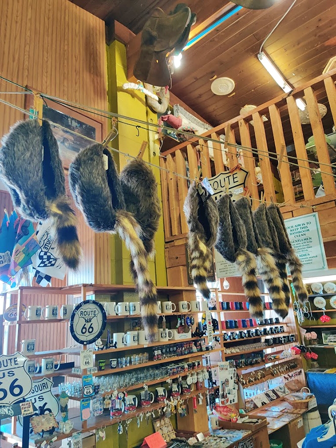 These raccoon tail souvenirs hanging from the ceiling might be the last place where Davy Crockett's fashion influence still holds court in American retail.
