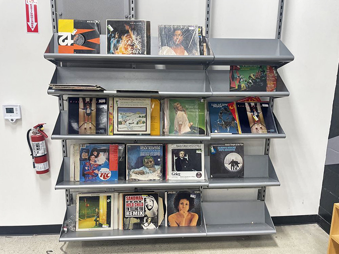 Vinyl treasures for the discerning ear. From classic Sinatra to Prince's purple reign, yesterday's soundtracks find new life here.