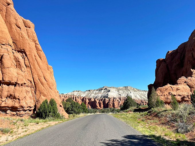 The road less traveled often leads to the best views. This drive through towering red rock formations beats any commute back home.