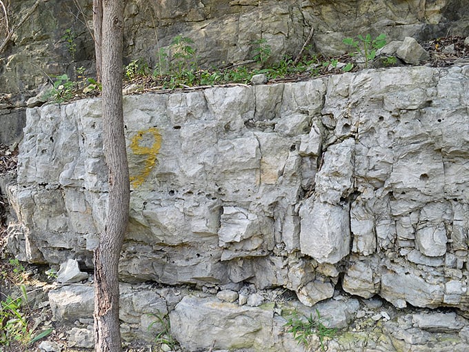 Indiana's architectural building blocks exposed. This limestone helped construct America's most iconic buildings, from humble farmhouses to the Empire State Building.