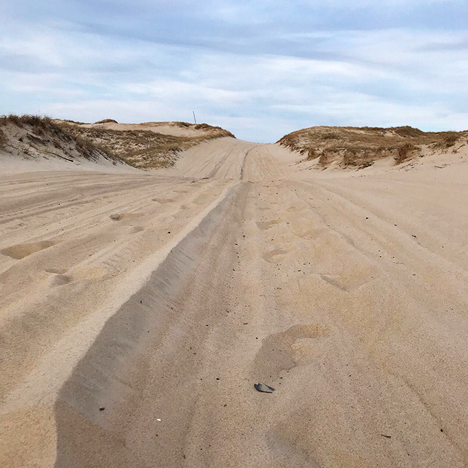 Nature's highway stretches between dunes, a sandy thoroughfare that makes rush hour feel like a distant memory.