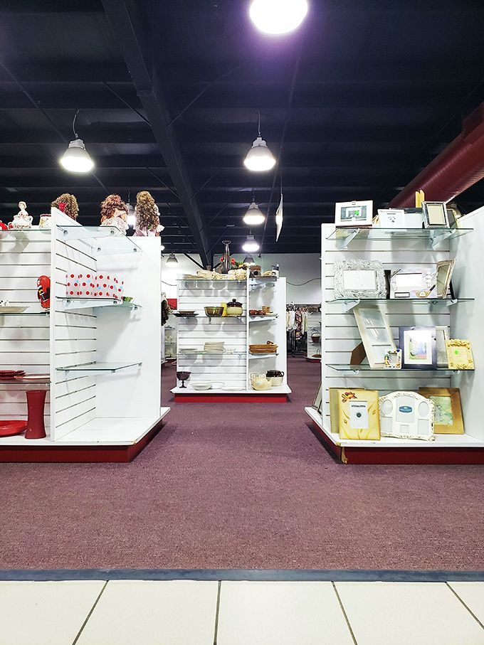 The housewares section gleams with possibility&mdash;each shelf a carefully arranged tableau of someone's past ready to become part of your future.