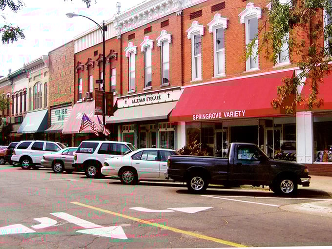 Colorful awnings dot Allegan's main drag, sheltering shops where you'll find treasures that won't trigger your credit card's fraud alert for "suspicious activity."