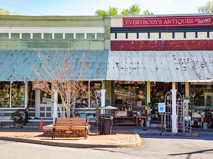 Everybody's Antiques & More isn't just a store name &ndash; it's a promise. Those weathered awnings have sheltered treasure hunters for generations.