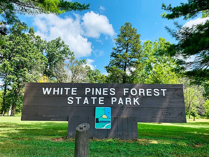 The entrance sign stands tall among the pines, promising adventure without the need for a passport or currency exchange. Illinois' own slice of paradise.
