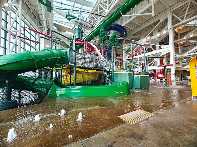 The landing zone: where dignity takes a backseat to pure joy. Watch grown adults emerge with the same giddy expression as their grandkids.