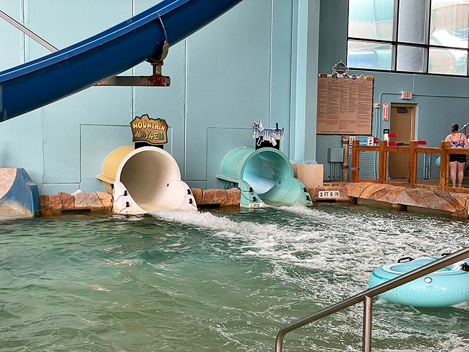 Thrill-seeking slide enthusiasts emerge from colorful tubes with that unmistakable mix of relief and "let's do that again!"