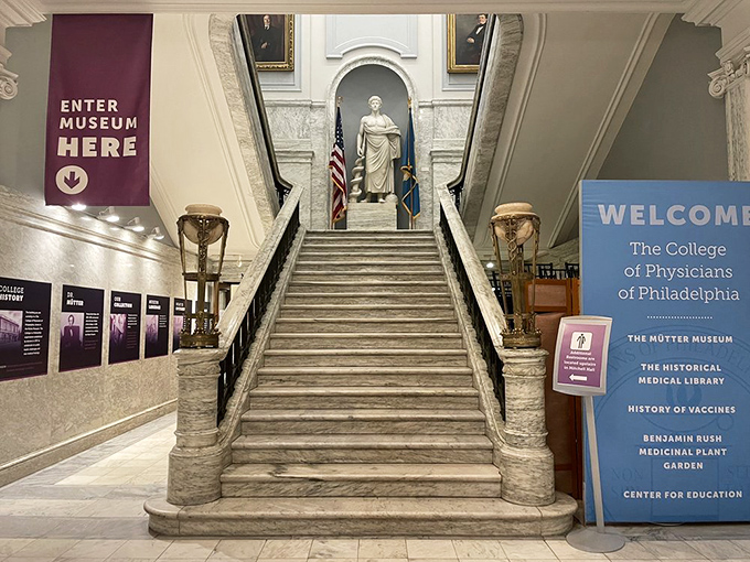 Grand marble stairs lead to enlightenment&mdash;or at least some truly fascinating specimens&mdash;in this temple dedicated to the science of healing and human curiosity. 