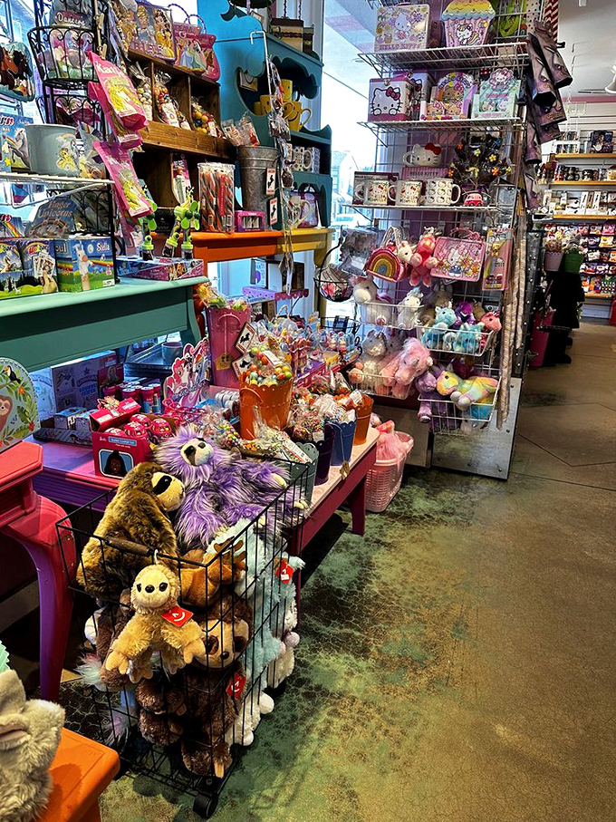 Beyond candy, a plush menagerie stands ready for adoption, proving Bruce's understands that sometimes the sweetest souvenirs aren't edible.