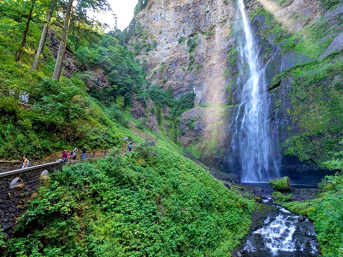 The Columbia River stretches out below, a reminder that this entire gorge was carved by water's patient persistence. Talk about a long-term project.