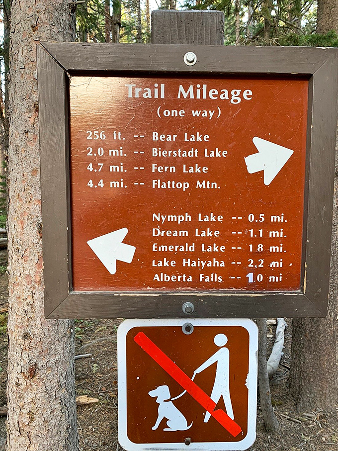 The choose-your-own-adventure signpost of Rocky Mountain National Park. Dream Lake is just far enough to feel accomplished but close enough to make lunch reservations.