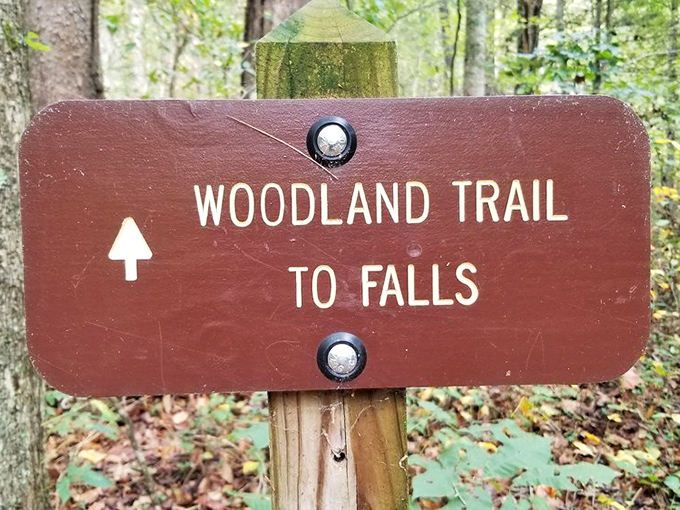 Signs, signs, everywhere signs—but these are the good kind! Follow the arrow to find what countless hikers have deemed worthy of the journey.