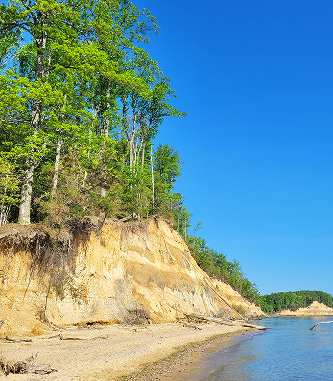 These majestic cliffs have been patiently waiting millions of years for your Instagram moment. Talk about playing the long game!