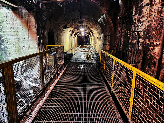 Narrow walkways and rusted stairs lead to nowhere and everywhere, a three-dimensional timeline of American manufacturing might. 
