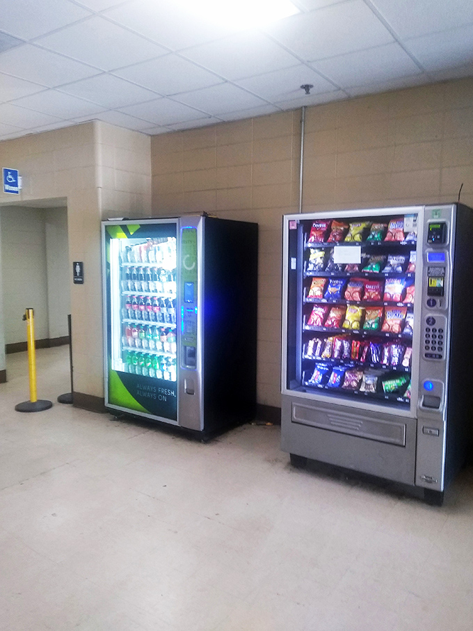 Even treasure hunters need sustenance! These vending machines stand ready for when the thrill of the find works up an appetite.