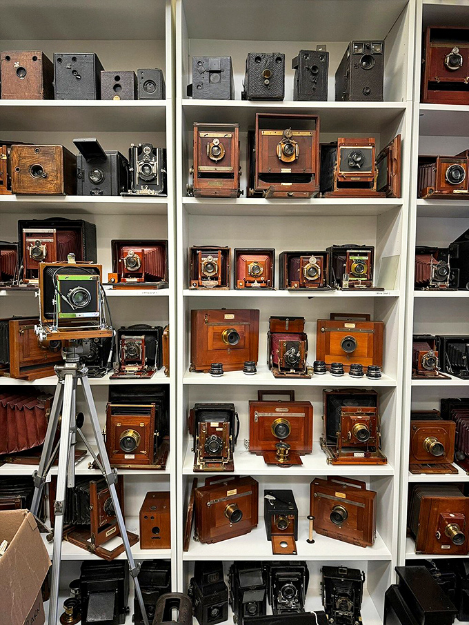 A photographer's dream shelf&mdash;where wooden cameras with their gleaming lenses stand like soldiers from different eras of visual history.