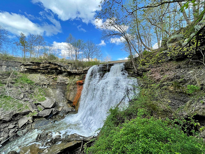 Summer's emerald embrace frames the falls in vibrant green. The kind of view that makes you forget you're still in Ohio, not some exotic rainforest. 