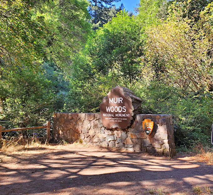 The stone entrance sign stands as a humble gatekeeper to one of America's most treasured natural cathedrals, preserved thanks to early conservation heroes.