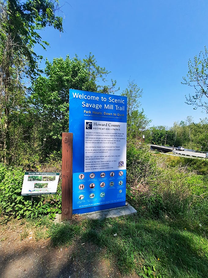 The blue welcome sign: nature's version of "You have arrived at your destination," but without the robotic voice telling you where to turn.