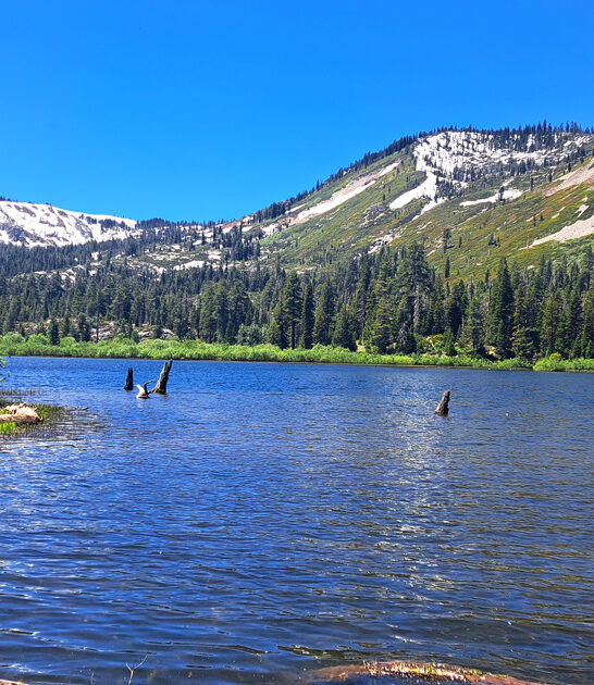 6000 acre park california ftr