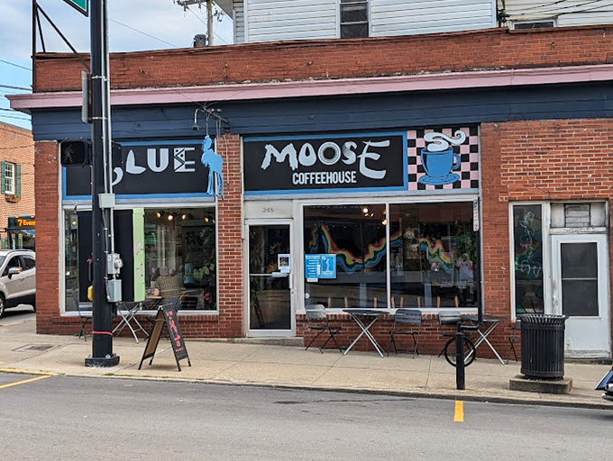 Blue Moose's street presence announces itself with quirky confidence &ndash; part coffeehouse, part sandwich haven, all charm.