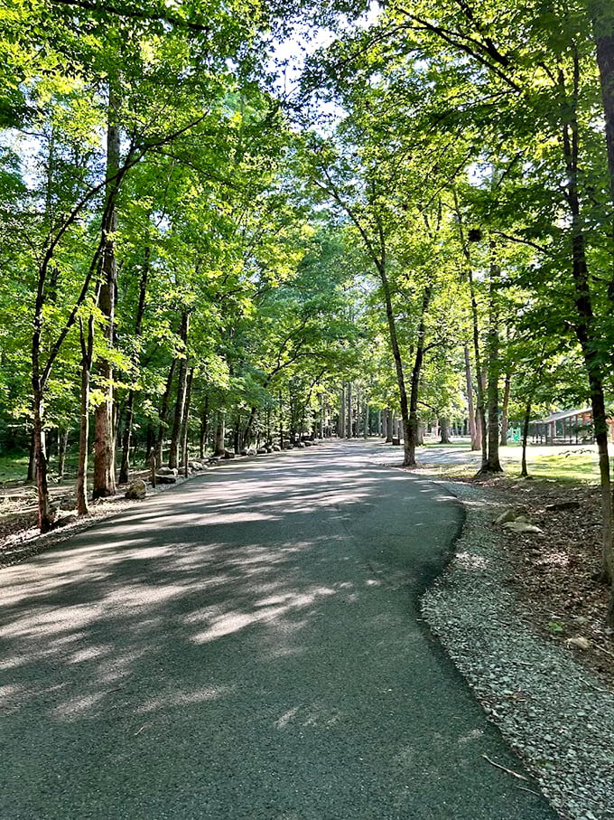 Buck's Pocket State Park: Politicians may come here to hide after losing elections, but you'll want to shout about these views from the mountaintop.