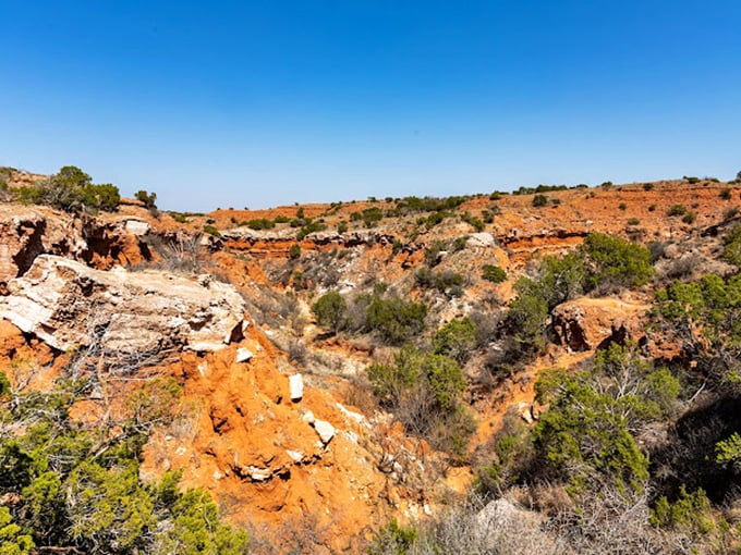 Caprock Canyons: Nature's Grand Canyon of Texas, where vibrant red rocks and desert plants create a landscape worthy of John Wayne.