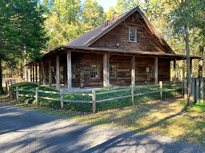 A marina filled with boats gently bobbing like cocktail olives in a very expensive, very large martini. 