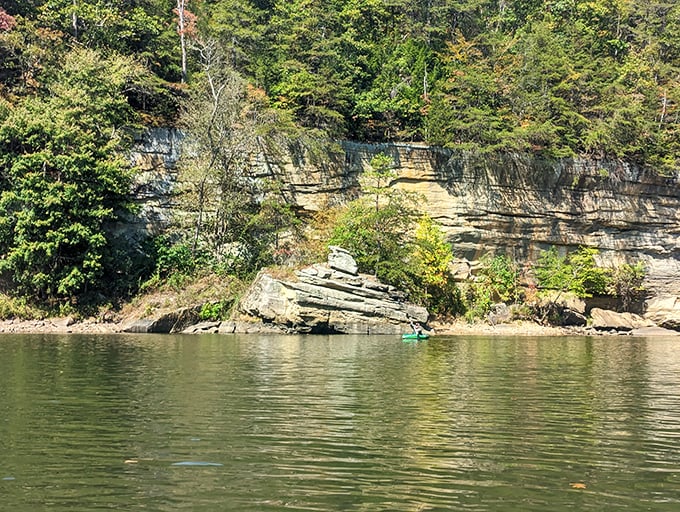 Misty morning perfection on Grayson Lake. Sunrises here make getting up early feel less like punishment and more like privilege. 
