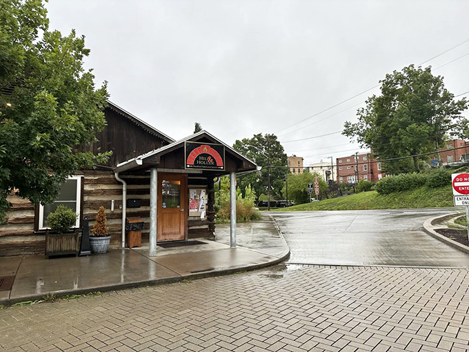 Hill & Holler's rustic log cabin exterior – where Appalachian charm meets serious pizza craftsmanship.