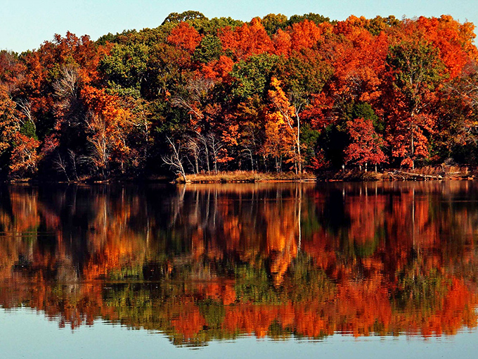 Long Hunter State Park's shoreline curves like a painter's brushstroke against the canvas of J. Percy Priest Lake.
