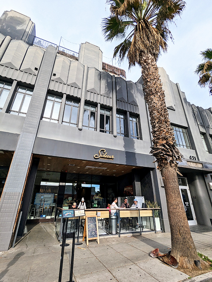 Sidecar's sleek storefront might look like it belongs in an architectural magazine, but the real artistry happens inside those perfect fried rings.
