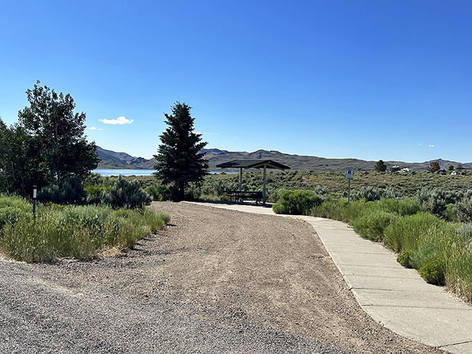 Wild Horse Reservoir stretches toward the horizon like a mirage that decided to make itself permanent in Nevada's high desert landscape.