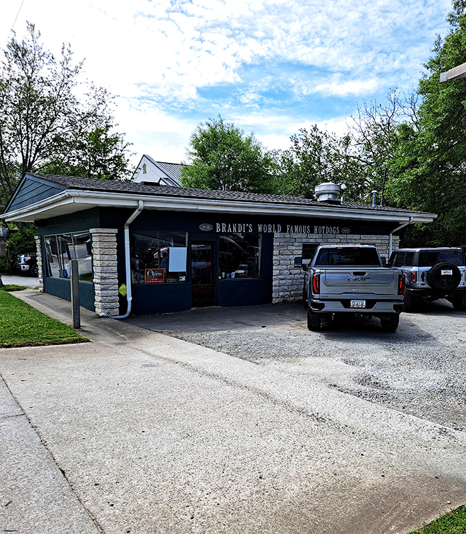 Marietta's hot dog time capsule still stands, brick by delicious brick. Brandi's proves some traditions, like perfect chili dogs, should never change.